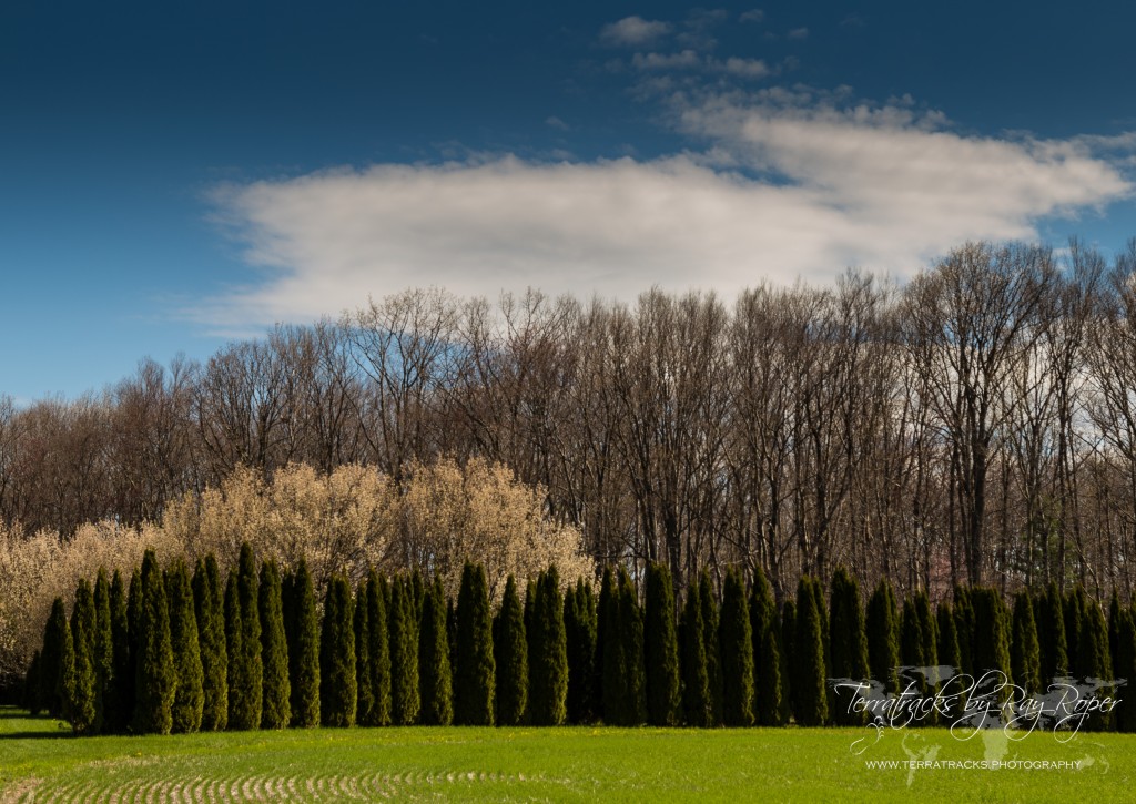 Pocono Spring - TerratracksTerratracks